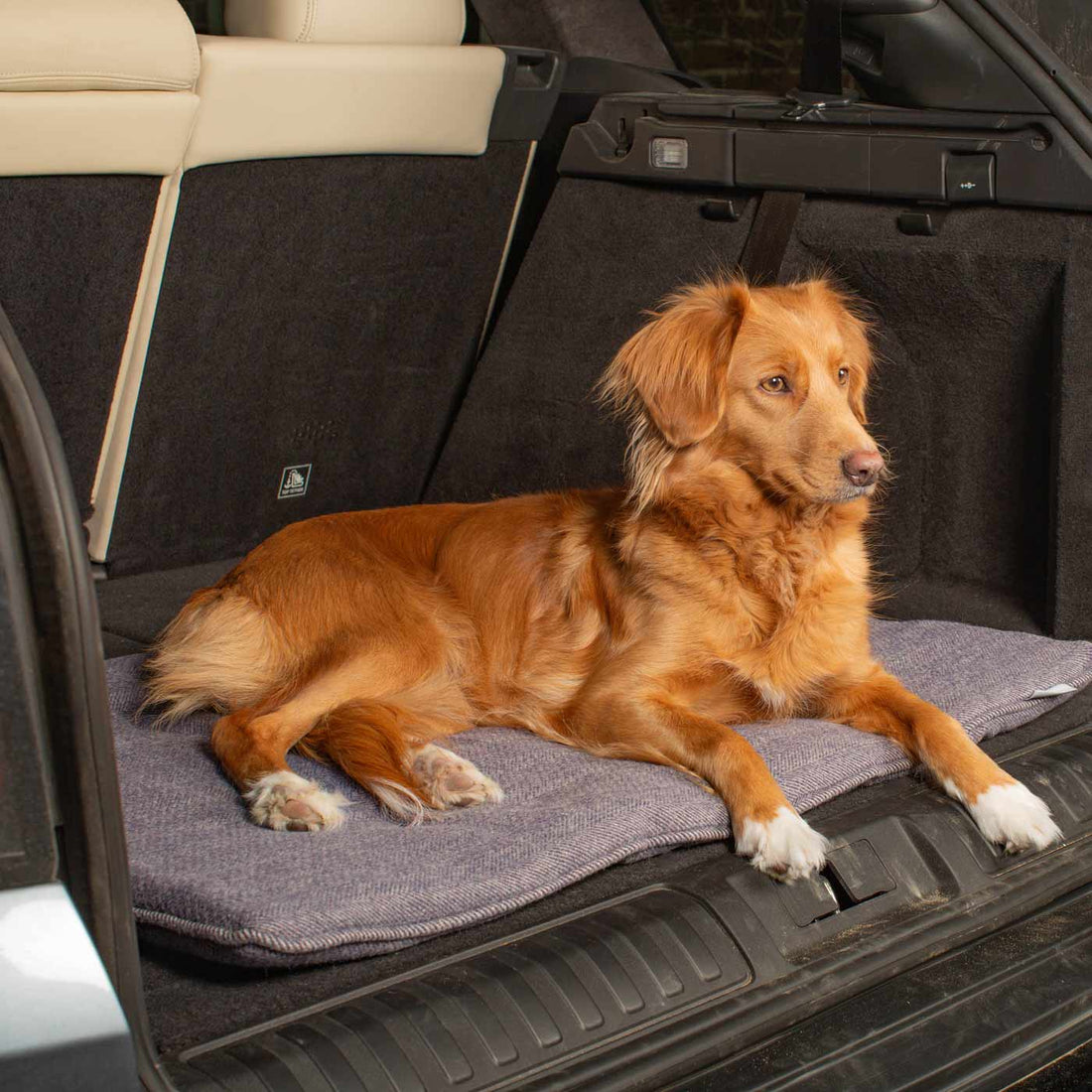 Oxford Pewter Herringbone Travel Mat | Dog Travel Bed | Lords & Labradors