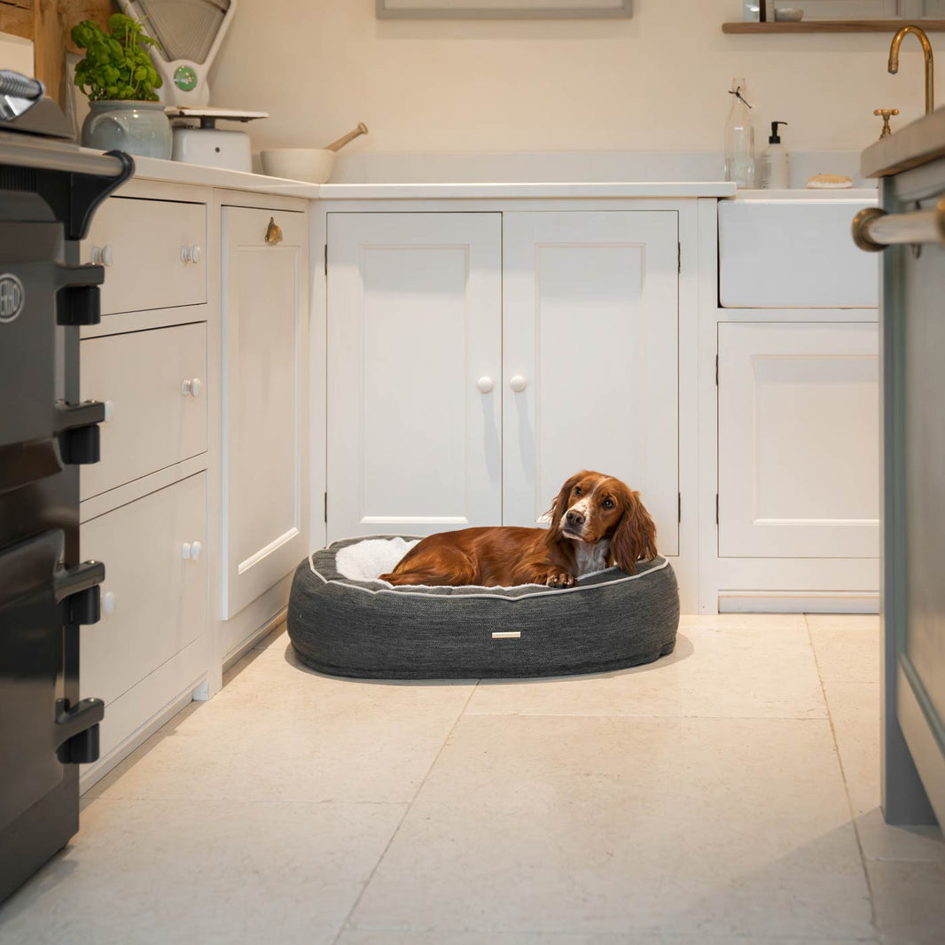 Cockapoo Beds, Collars, and Accessories | Lords & Labradors