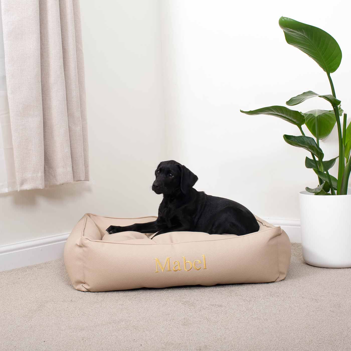 Box Bed For Dogs in Rhino Tough Sand Faux Leather by Lords & Labradors