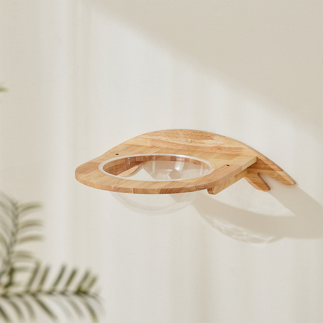 The History of Cat Breeds: Ancient Egypt to Modern Times | L&L Info Hub ...