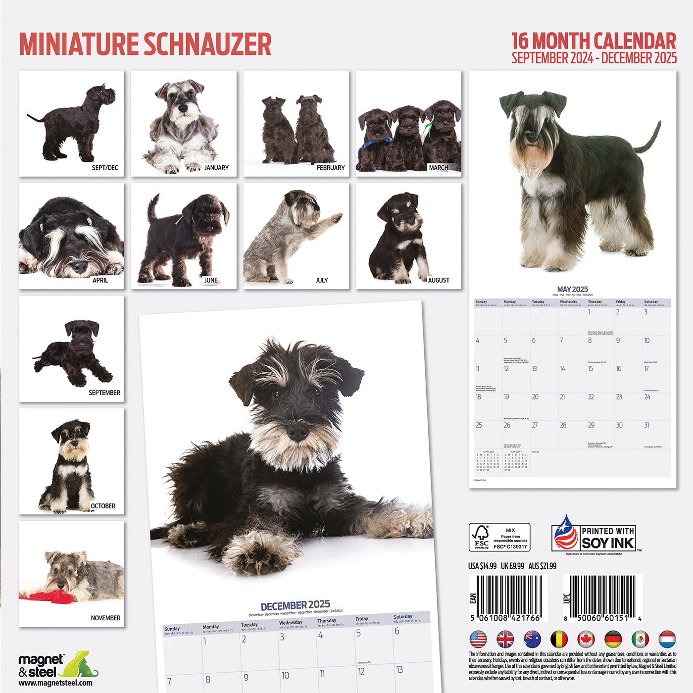 Miniature Schnauzer 2025 Modern Calendar | Gifting | Lords & Labradors
