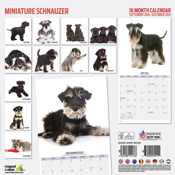 Miniature Schnauzer 2025 Modern Calendar | Gifting | Lords & Labradors