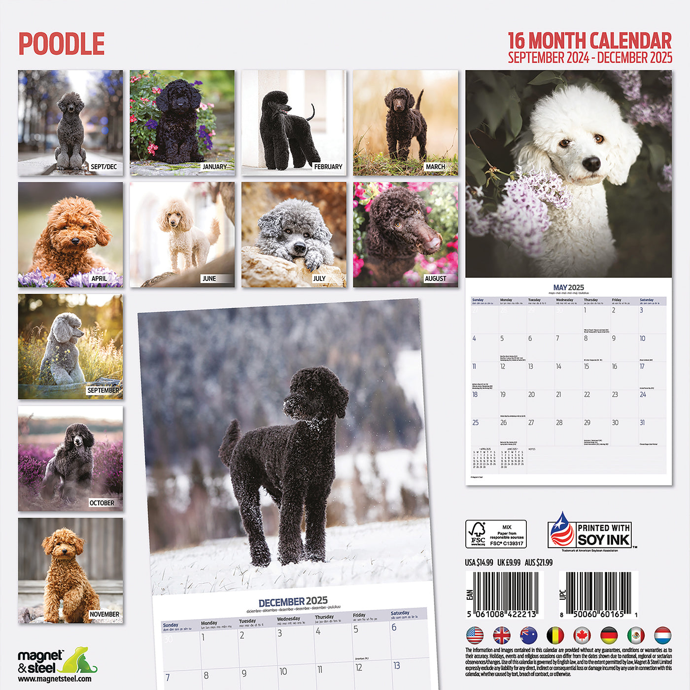 Poodle 2025 Traditional Calendar | Gifting | Lords & Labradors