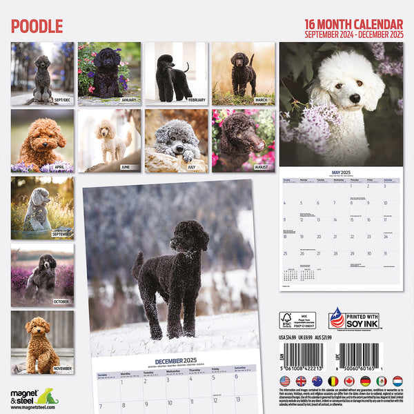 Poodle 2025 Traditional Calendar | Gifting | Lords & Labradors