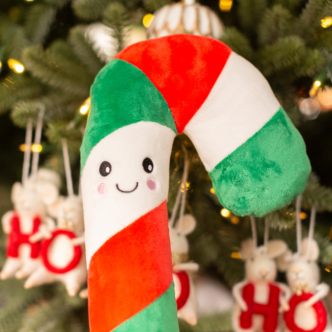 How To Crate Train Your New Puppy | L&L Info Hub – Lords & Labradors