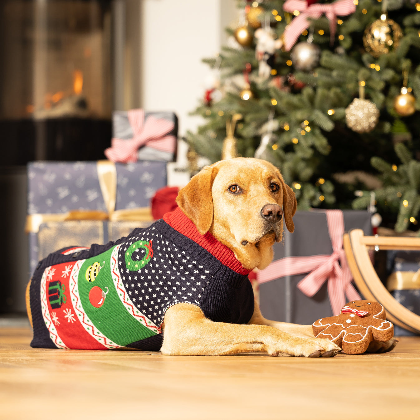 Gingerbread Jumper Xmas Eve Gift Pack | Rosewood | Lords & Labradors