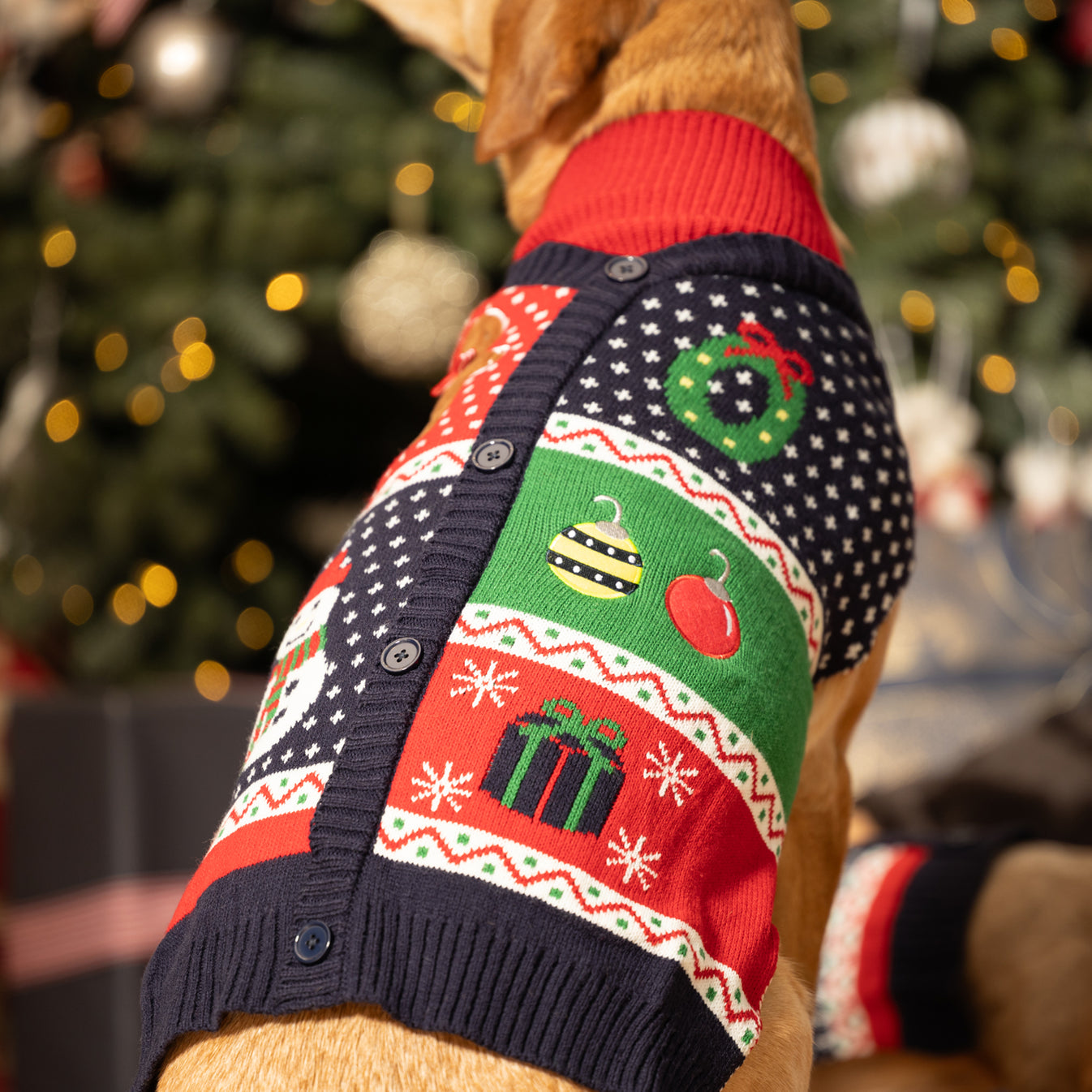 Gingerbread Jumper Xmas Eve Gift Pack | Rosewood | Lords & Labradors