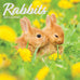 Rabbits Traditional Calendar 2025 | Lords & Labradors