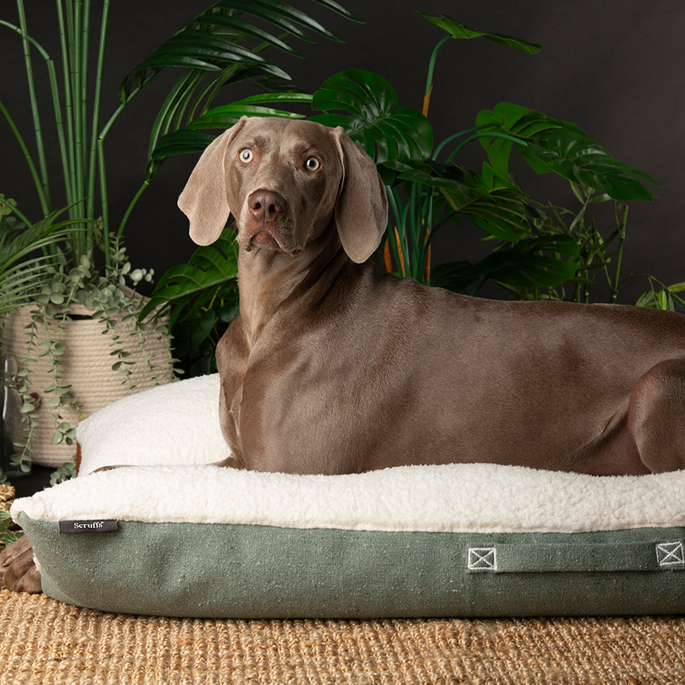 Scruffs 100% Recycled Green Eco Eden Dog Pillow | Pet Bedding | Lords ...