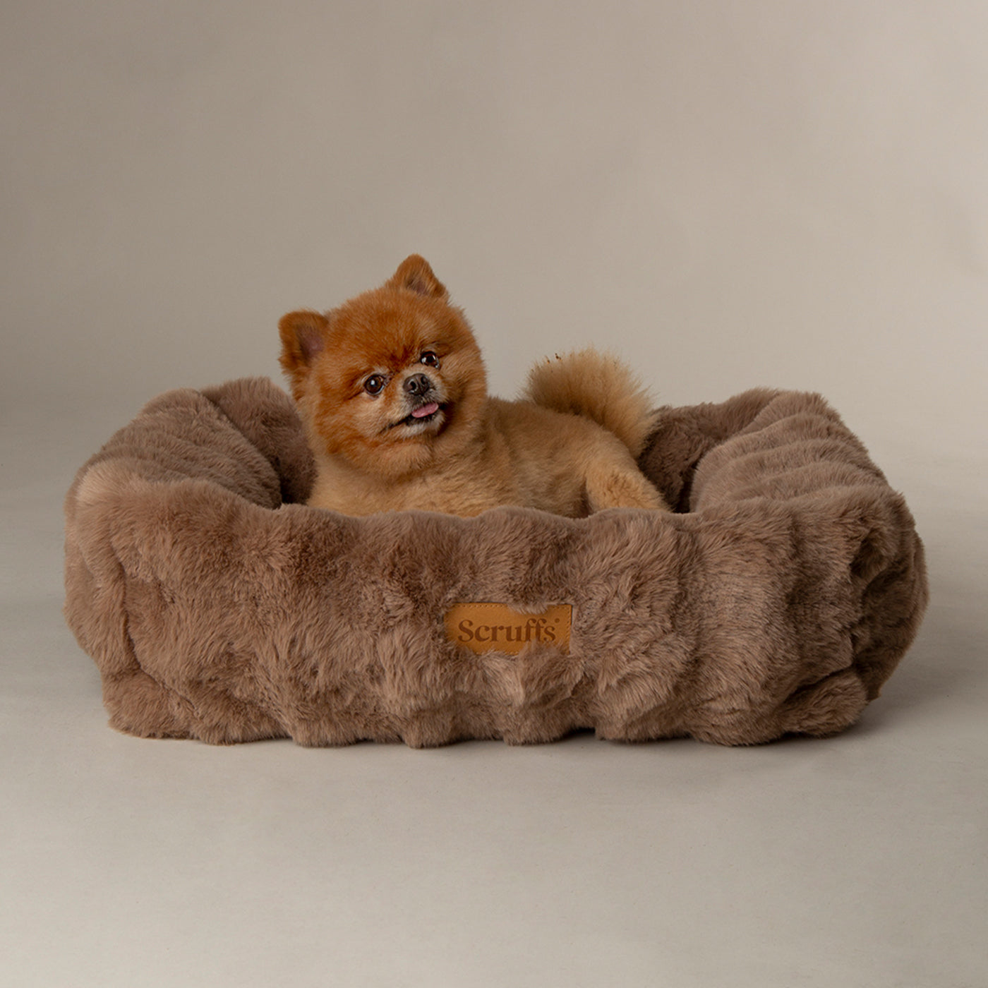 Alpine Taupe Box Bed for Dogs | Scruffs Pet Bedding | Lords & Labradors