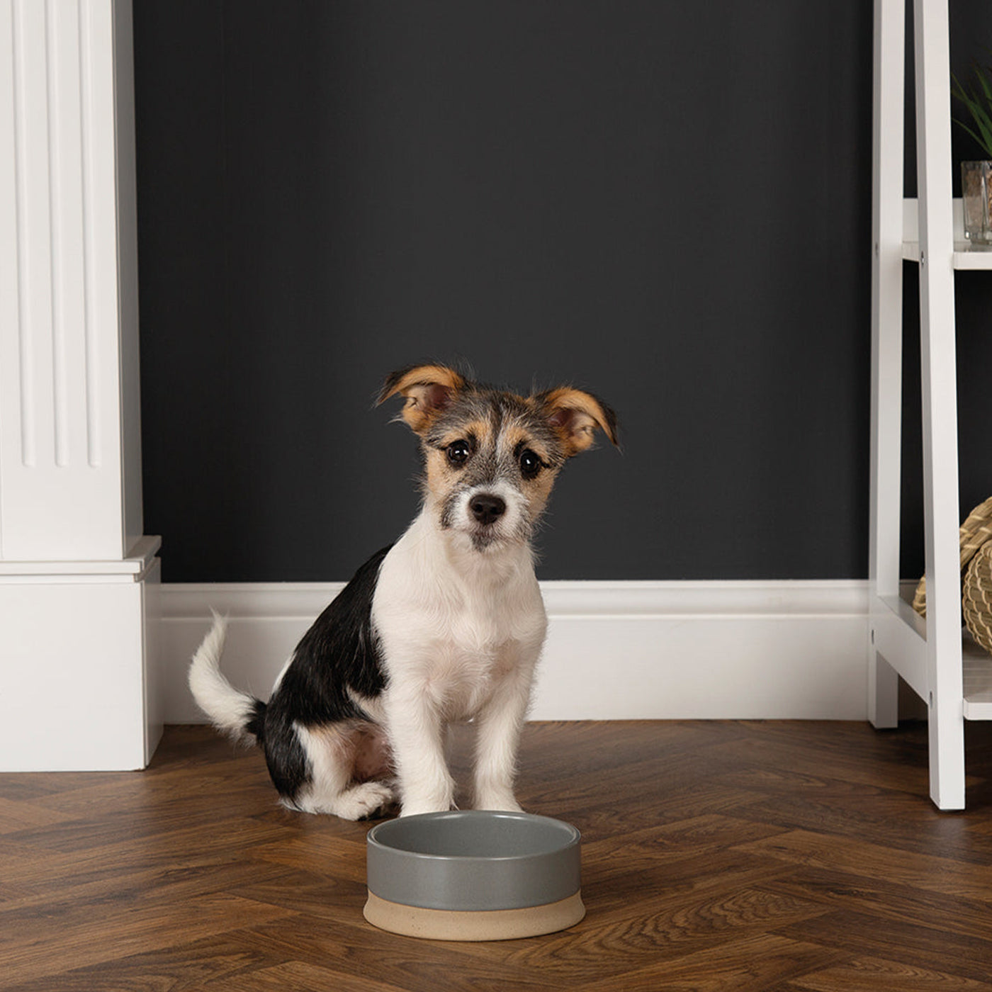 Scandi Non Tip Bowl | Scruffs Dog Bowls | Lords & Labradors