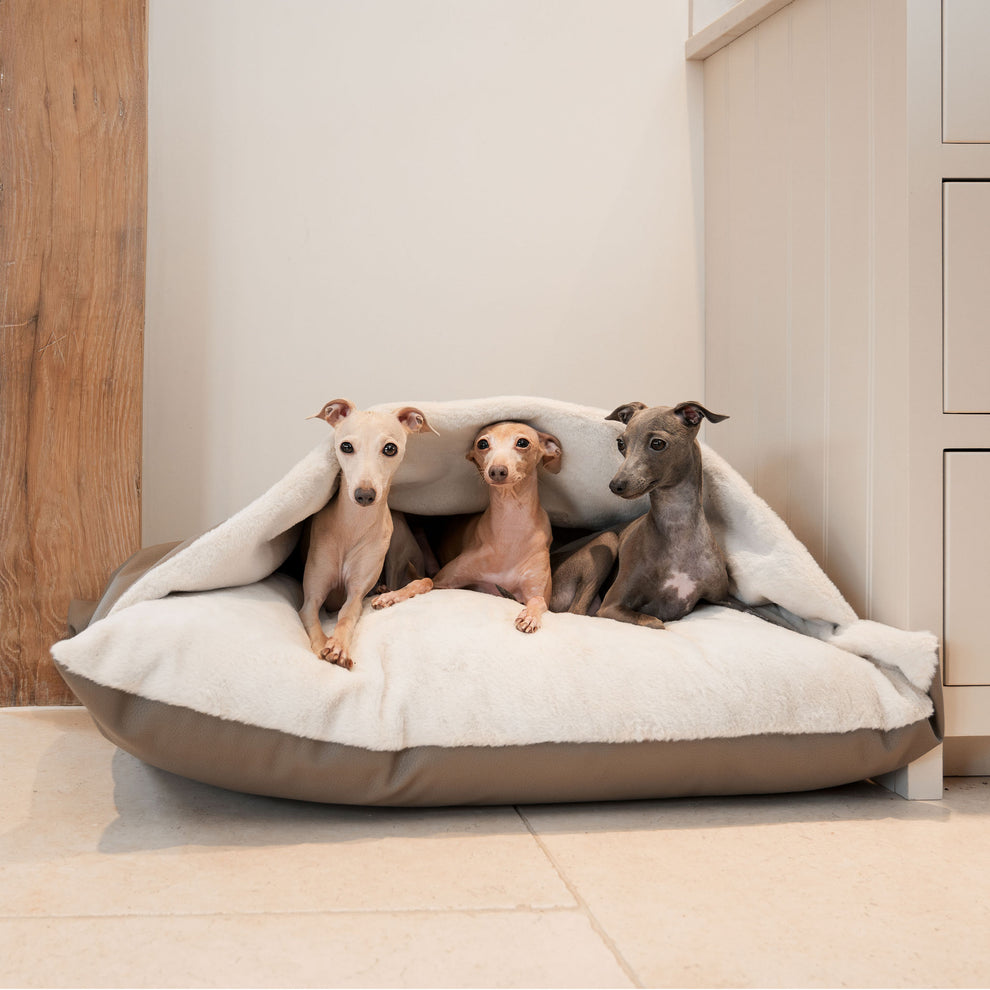 Sleepy Burrows Bed in Camel Rhino Faux Leather | Lords & Labradors ...