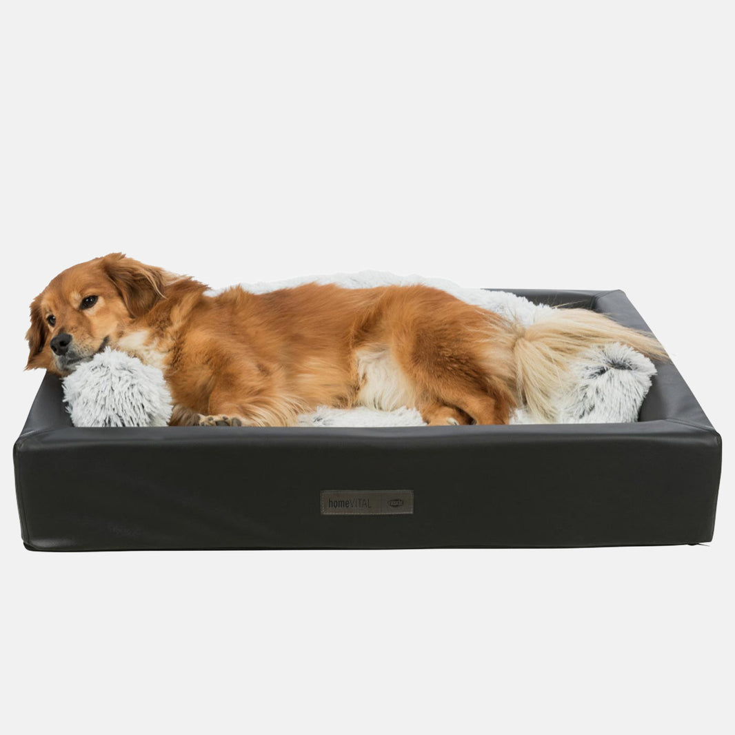 Trixie Harvey Pet Bed | Dog Bedding | Lords & Labradors