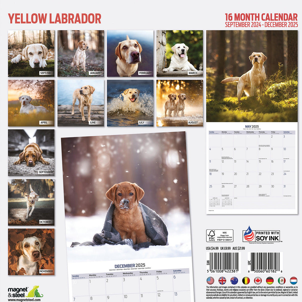Yellow Labrador 2025 Traditional Calendar | Gifting | Lords & Labradors