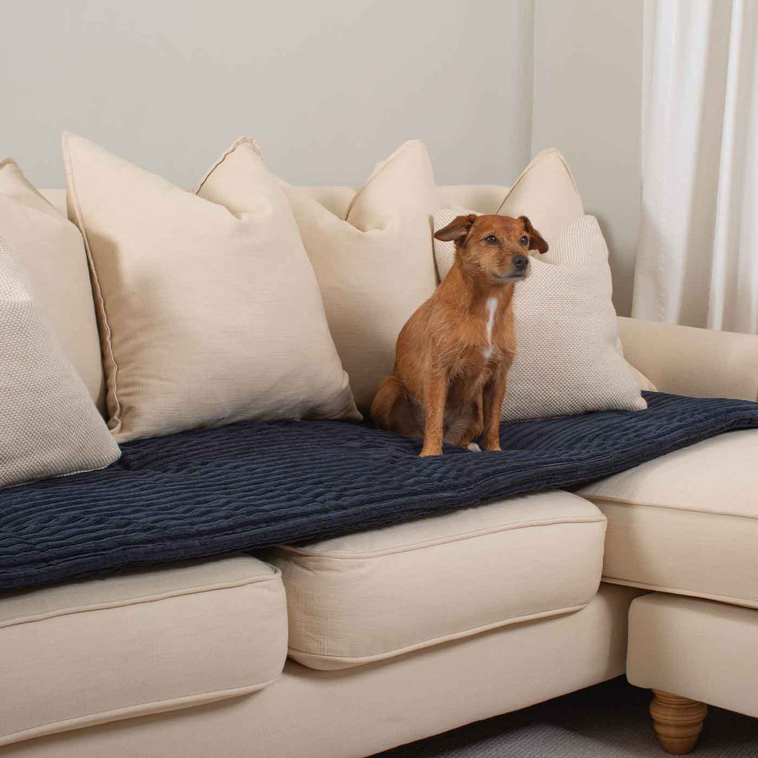 Luxury Savanna Oatmeal Sofa Topper | Dog Beds | Lords & Labradors