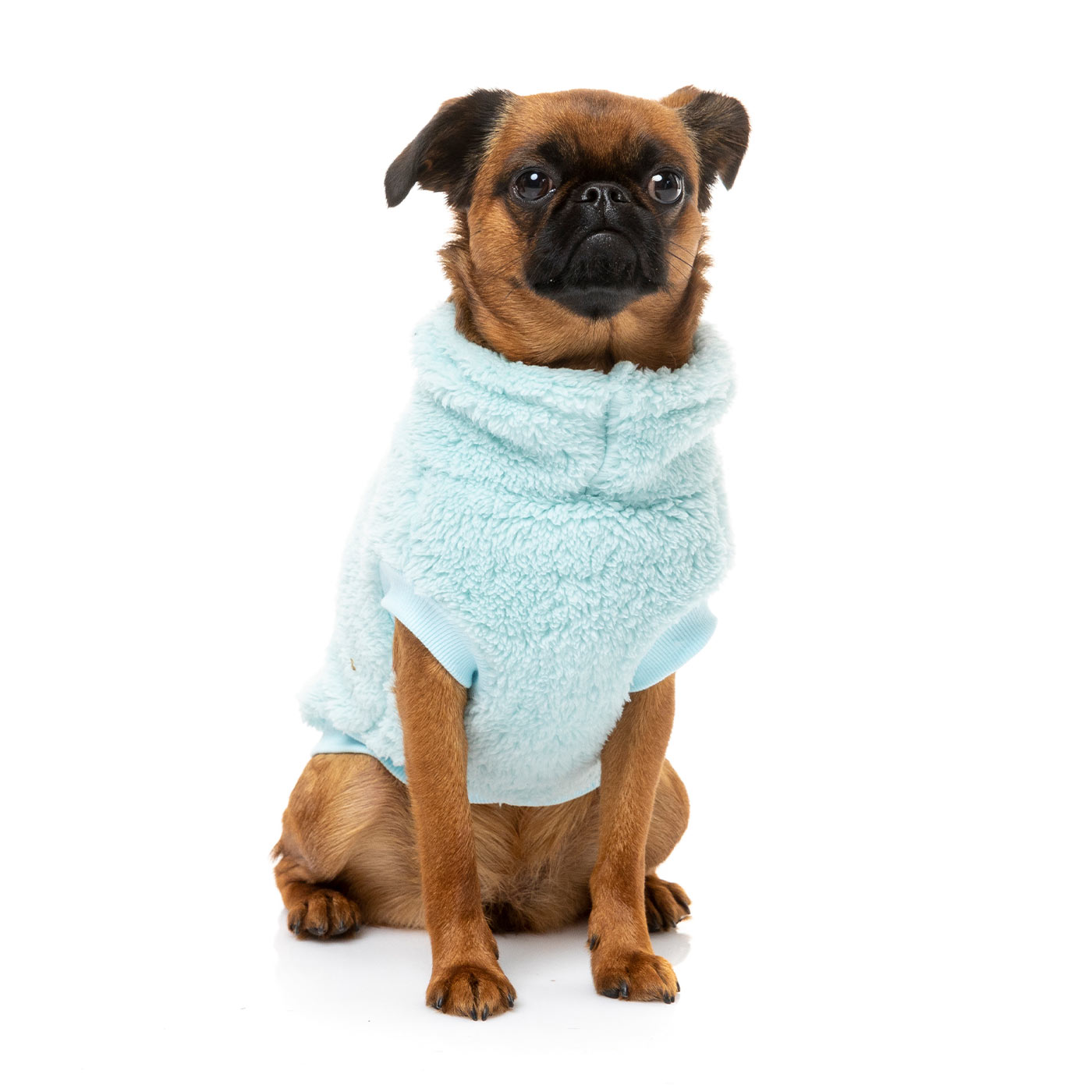 FuzzYard Turtle Teddy Sweater | Dog Apparel | Lords and Labradors ...