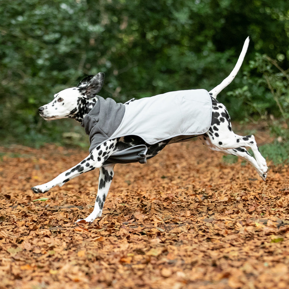 Designer Dog Coats | Tweed & Waterproof Coats for Dogs | Lords & Labradors