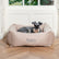 Savanna Oatmeal Box Bed For Dogs | Luxury Dog Beds | Lords & Labradors