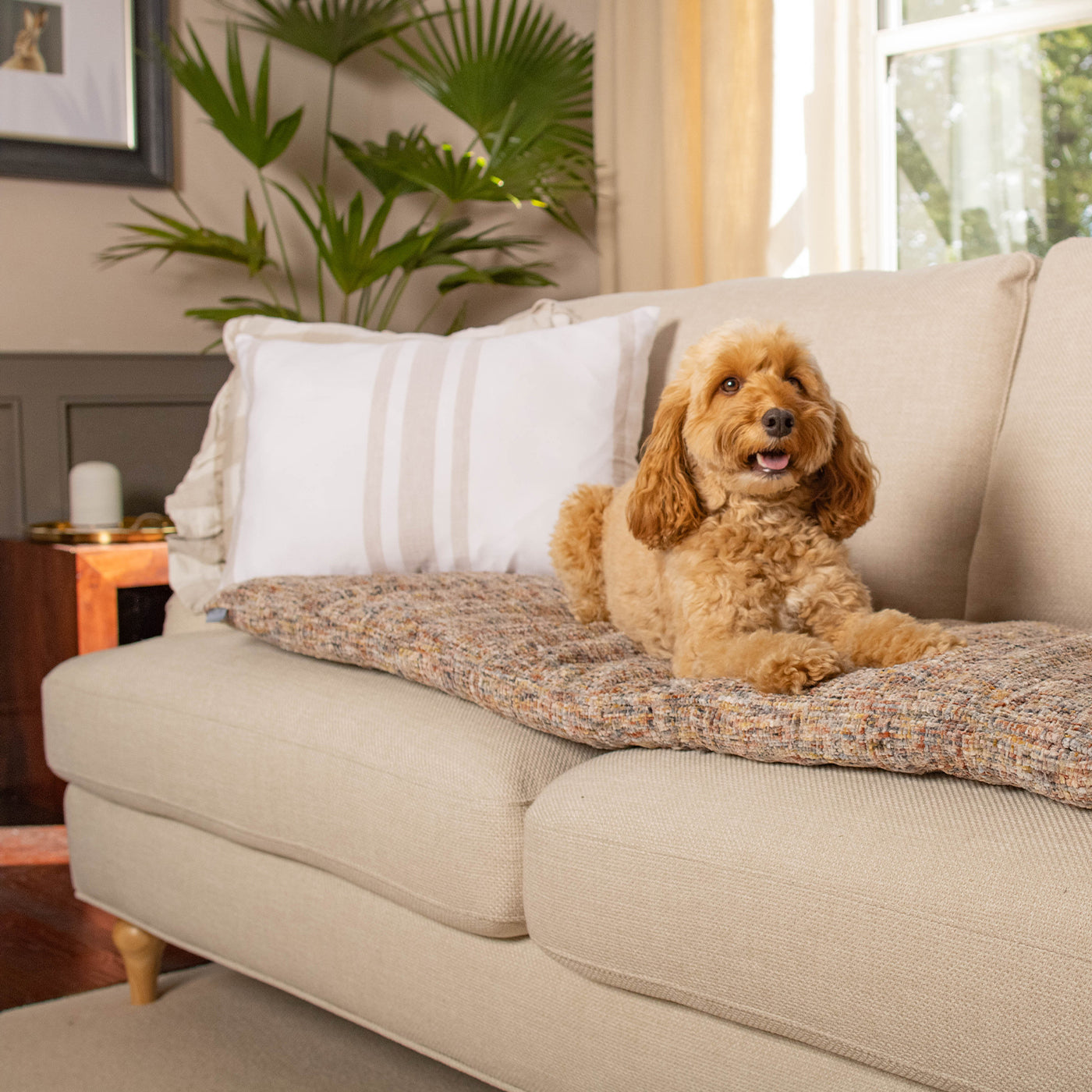 Sofa Topper in Opal Minerals | Dog Sofa Protectors | Lords & Labradors