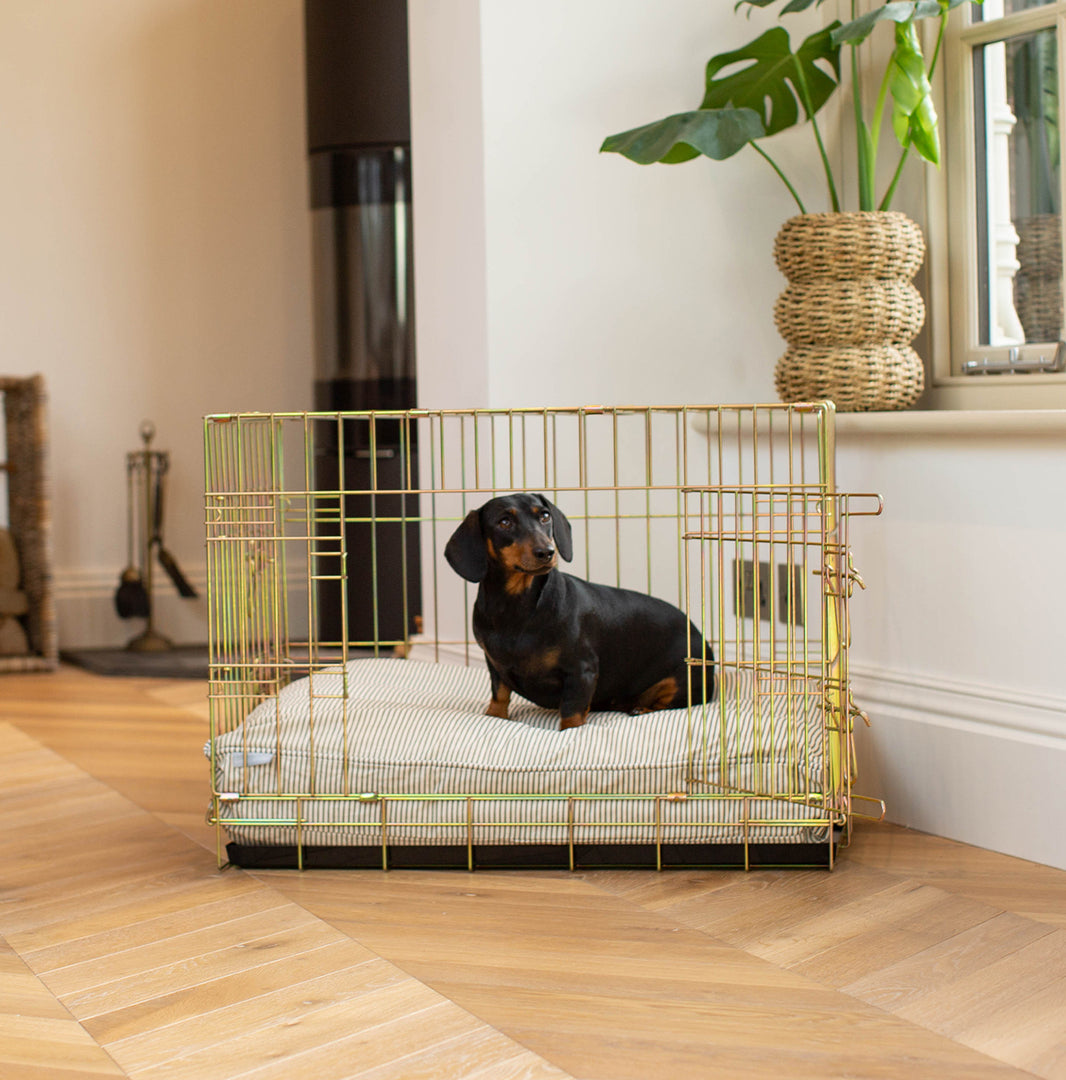 Box Bed For Dogs - Regency Stripe | Lords & Labradors Luxury Dog Beds