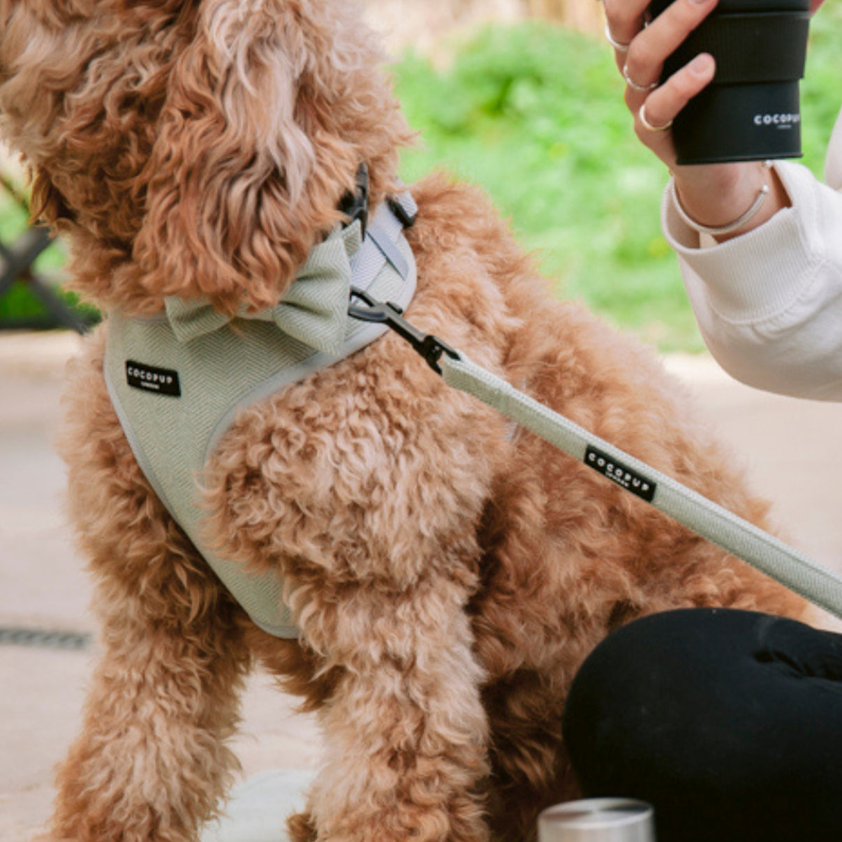 Sage Tweed Adjustable Dog Harness | Cocopup | Lords and Labradors ...