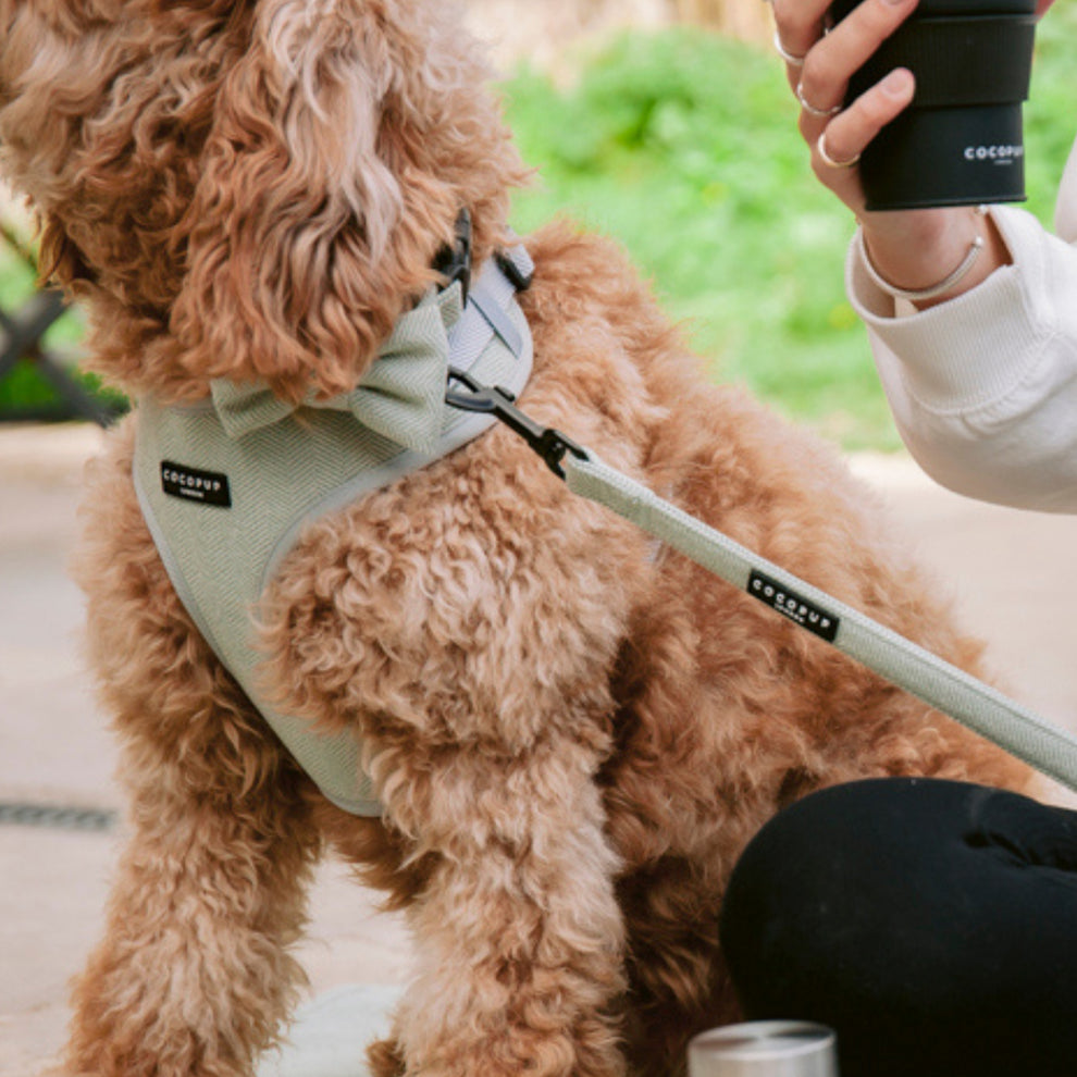 Sage Tweed Adjustable Dog Harness | Cocopup | Lords and Labradors ...