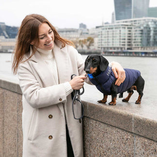 Puffer Jacket | Hugo & Hudson Dog Clothing | Lords and Labradors ...