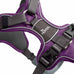 Hunter Divo Harness | Dog Walking | Lords & Labradors
