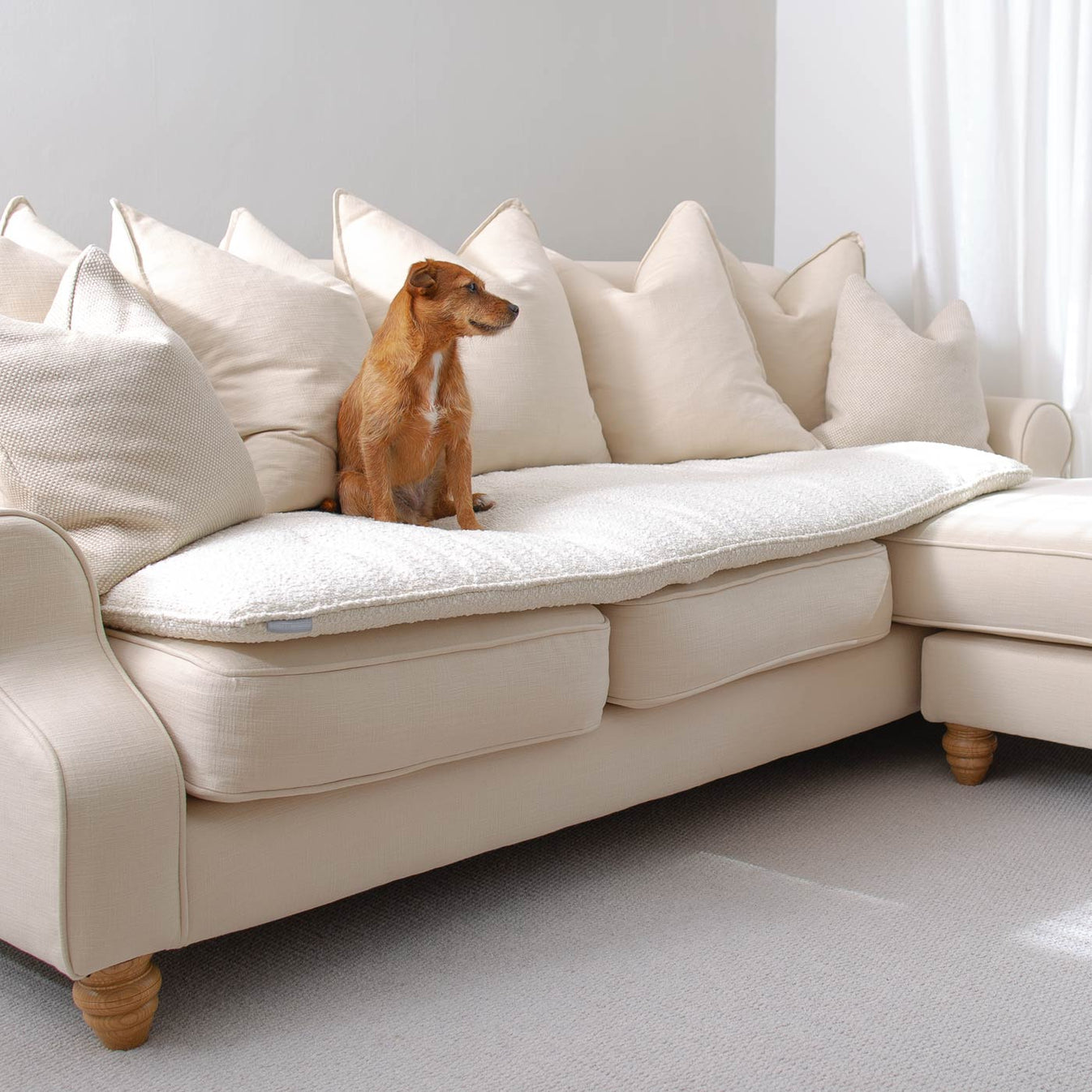 Luxury Bouclé Sofa Topper | Dog Beds | Lords & Labradors