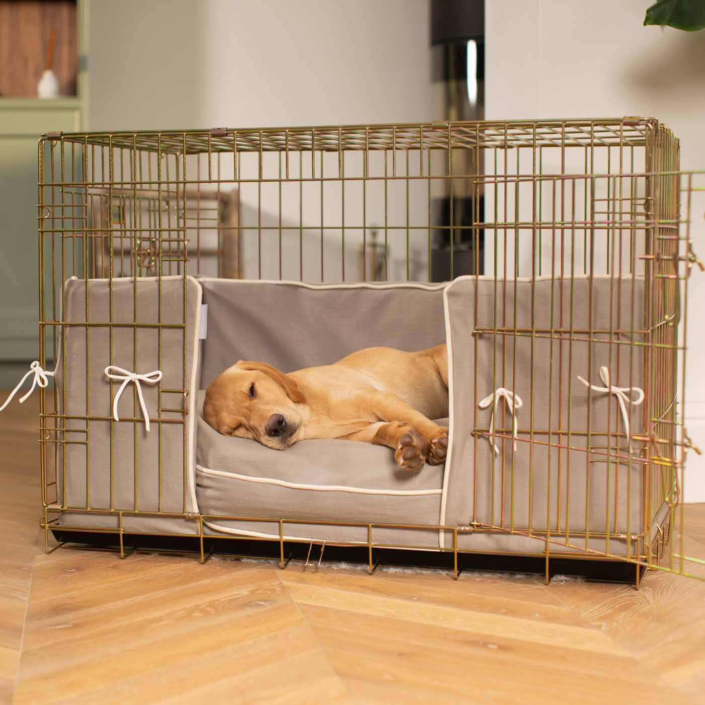 Gold Crate, Savanna Cushion And Bumper Set | Bedding | Lords & Labradors