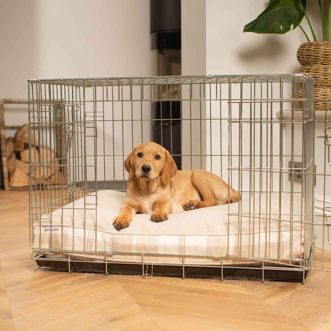 Salcombe Wooden Open Dog Crate | Dog Crate | Lords & Labradors