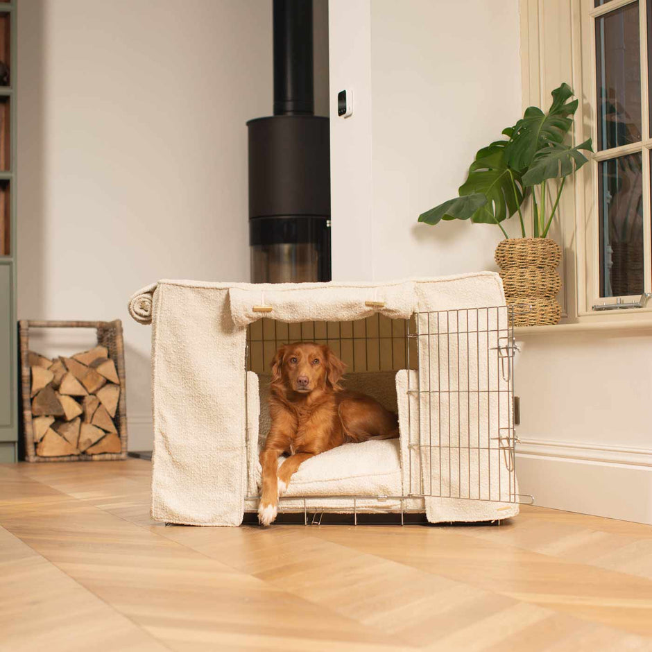 The Complete Dog Crate Guide | L&L Info Hub – Lords & Labradors