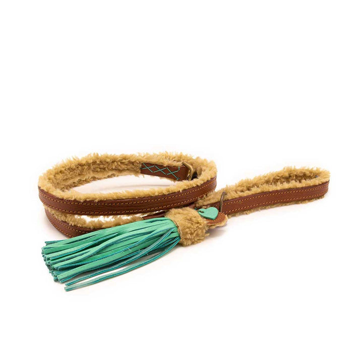 Dog Lead Guide | L&L Info Hub – Lords & Labradors