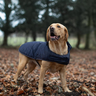 Barbour Baffle Quilt Dog Coat | Dog Walking | Lords & Labradors