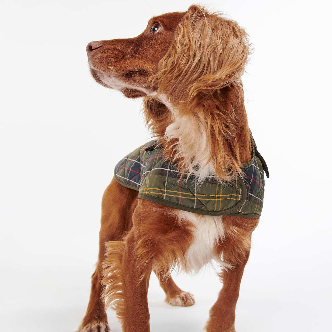 Barbour Wax Dog Coat | Dog Walking Accessories | Lords & Labradors