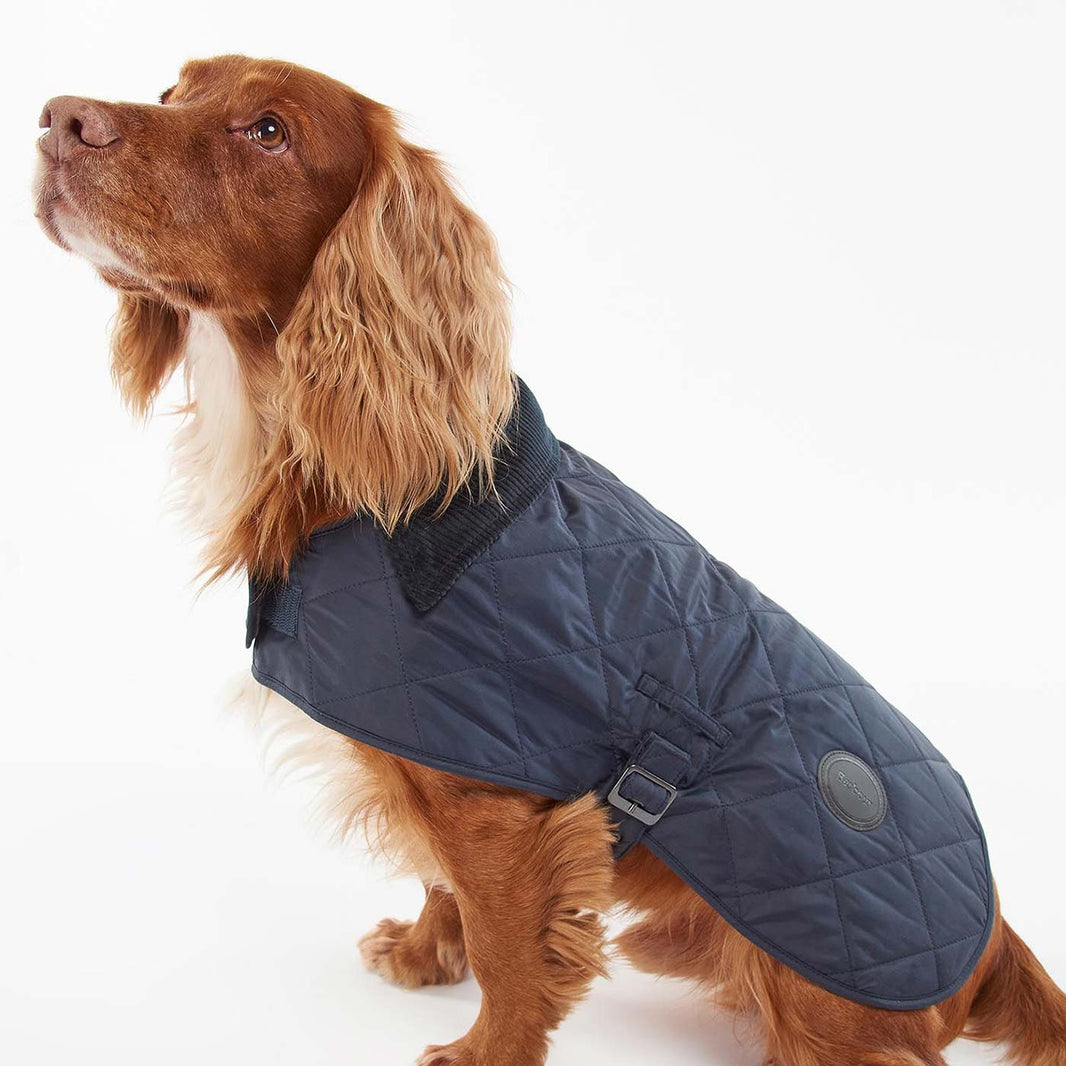 Designer Dog Coats | Tweed & Waterproof Coats for Dogs | Lords & Labradors