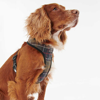 Tartan Dog Harness | Barbour | Lords & Labradors