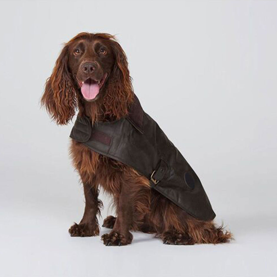 Designer Dog Coats | Tweed & Waterproof Coats for Dogs | Lords & Labradors