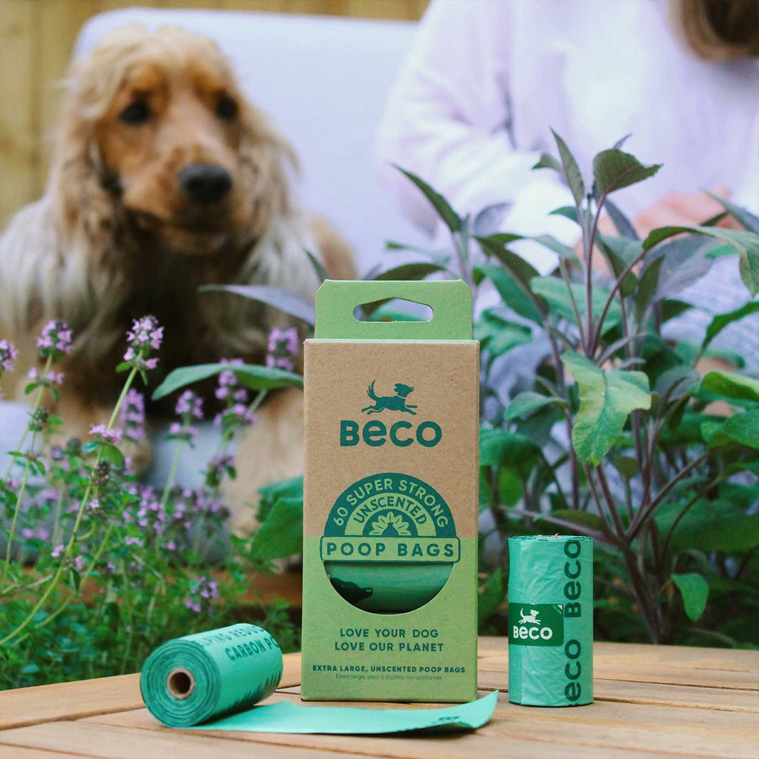 Poo Bag Holder | Beco Poo Bag Dispenser | Lords & Labradors