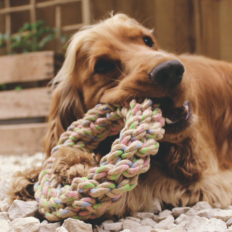 Hemp Rope Ball with Loop | Beco Dog Toys | Lords & Labradors