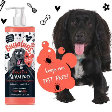 Bugalugs 2 In 1 Papaya Dog Shampoo & Conditioner | Lords & Labradors