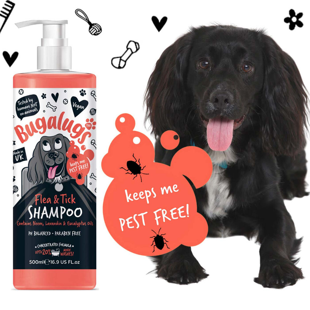 Bugalugs Flea & Tick Dog Shampoo | Dog Grooming | Lords & Labradors