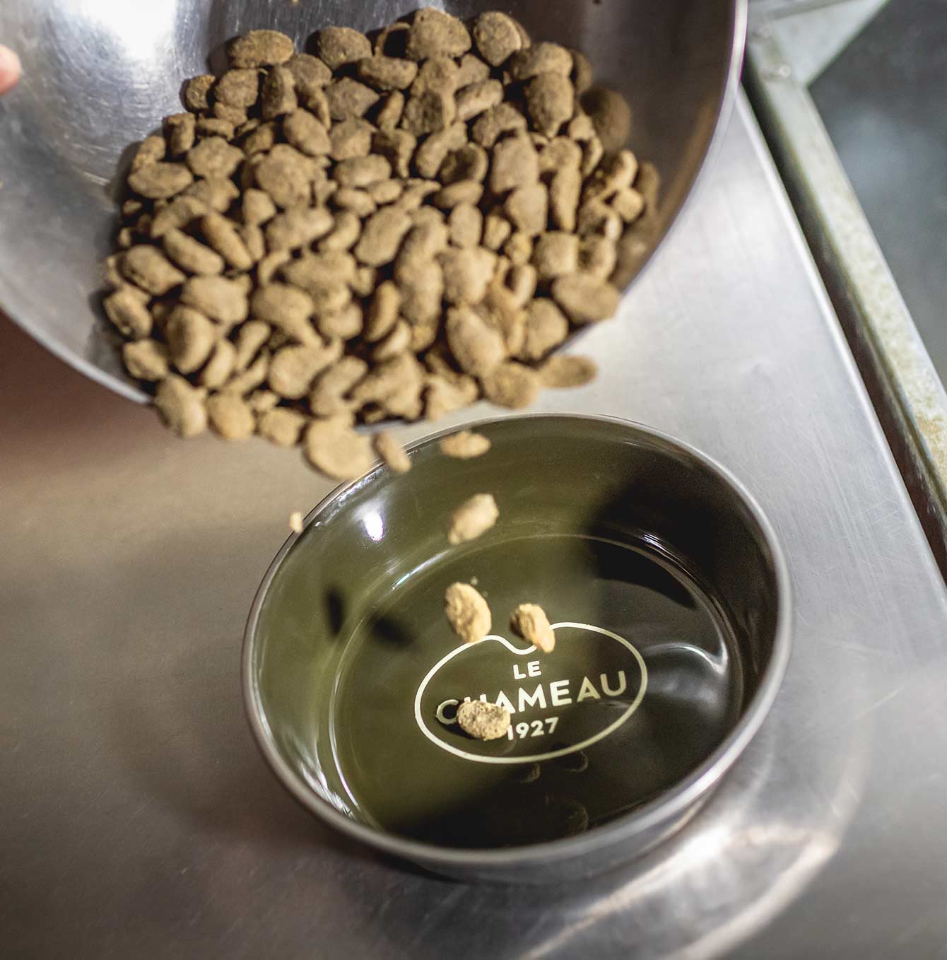 How To Clean Dog Bowls | L&L Info Hub – Lords & Labradors