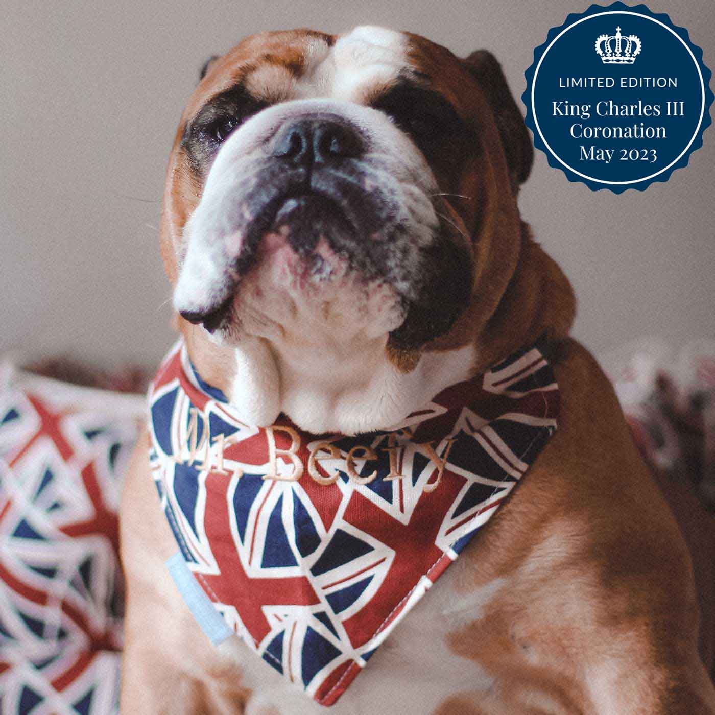 Personalised Accessories – Lords & Labradors