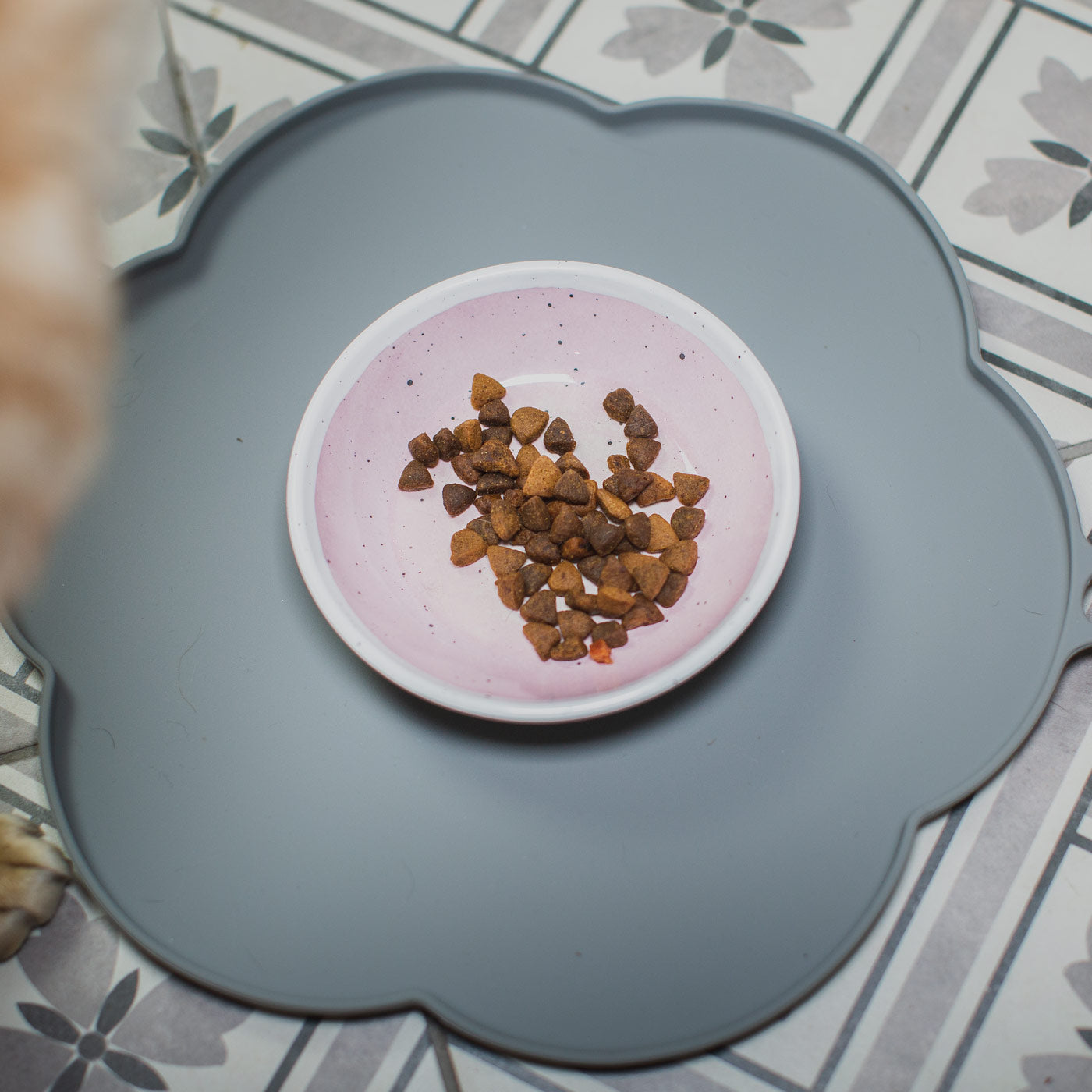 Desert Wash Speckle Cat Saucer | Tarhong Cat Saucer | Lords & Labradors