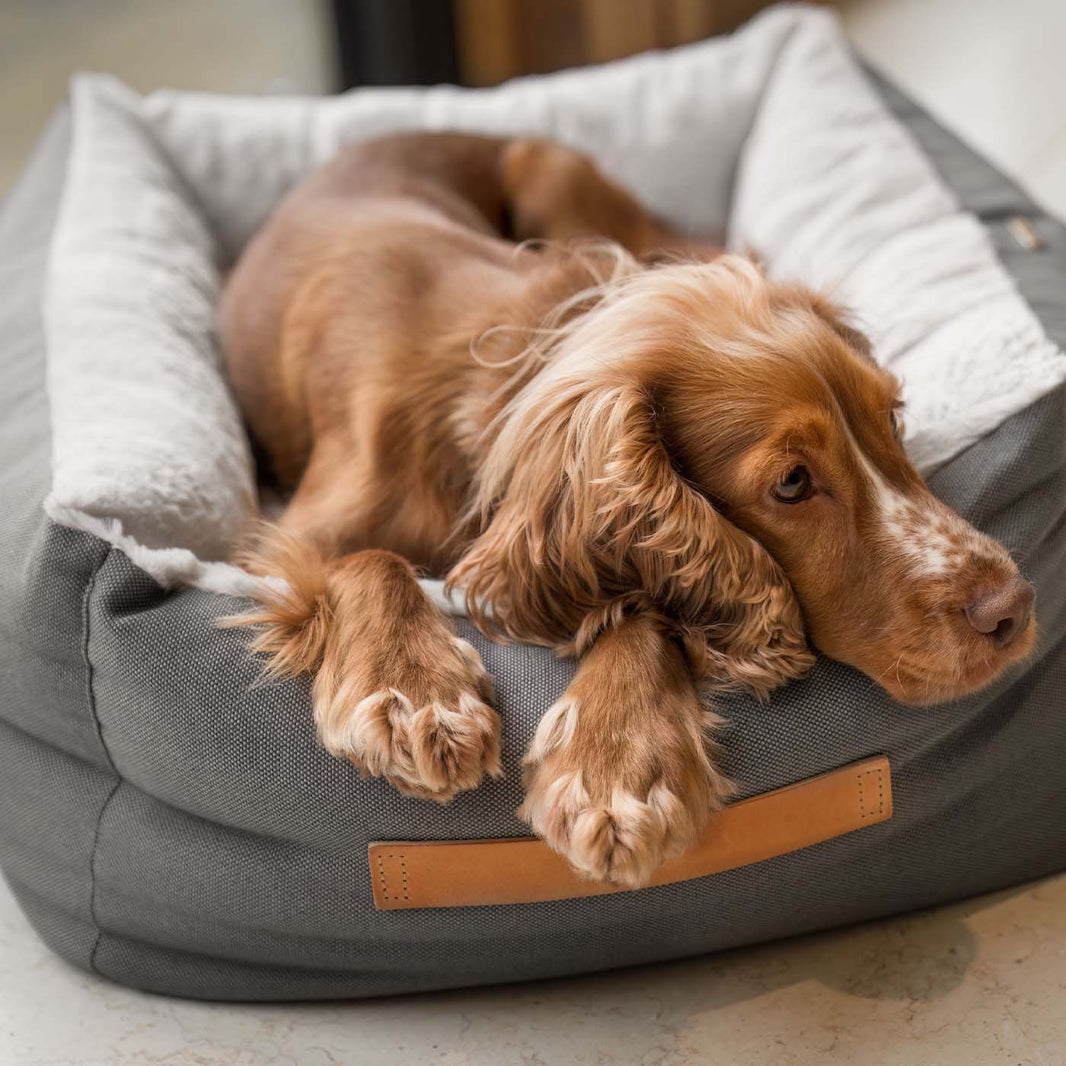 Dog Box Beds | Luxury Square Dog Bed | Lords & Labradors