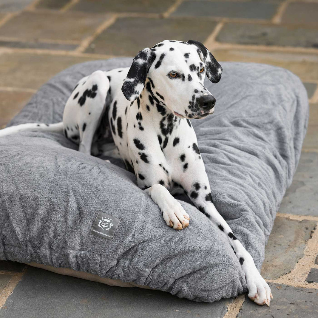 Luxurious Velvet Dog Cushions | Crate Bedding | Lords & Labradors