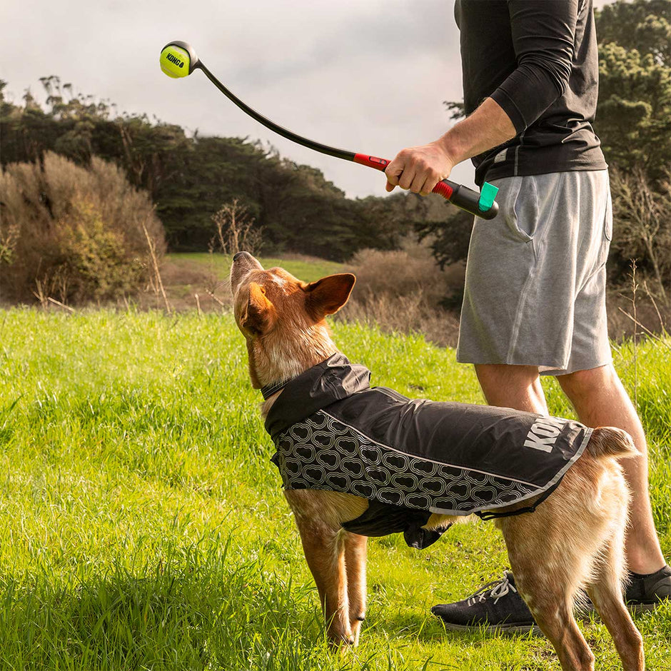 Lords & Labradors The Ultimate Capsule Travel Dog Bed | Lords & Labradors