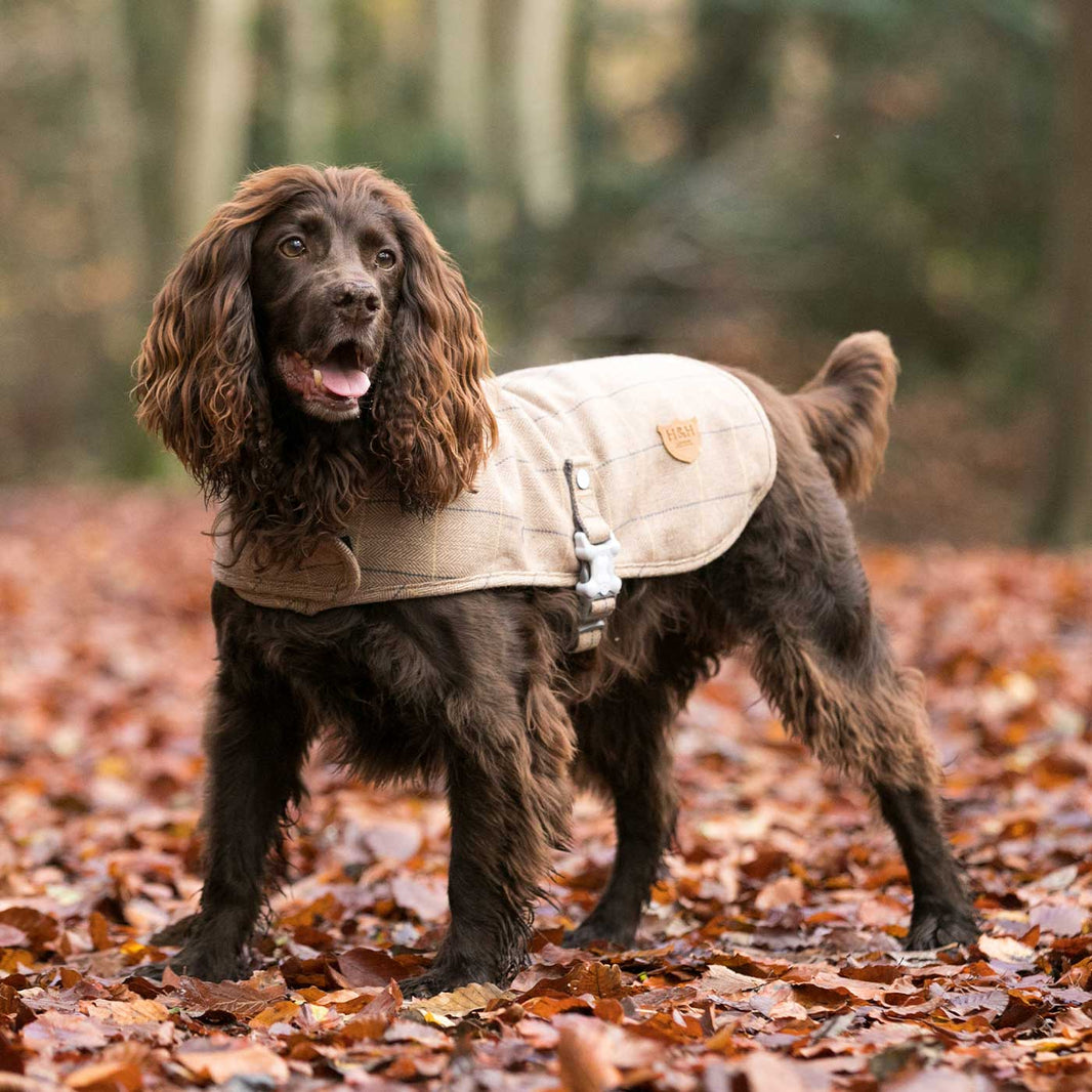 Puffer Jacket | Hugo & Hudson Dog Clothing | Lords and Labradors ...