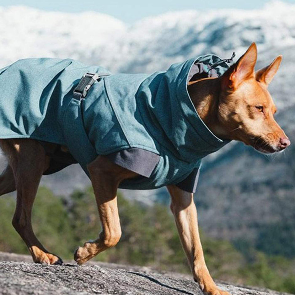 Designer Dog Coats | Tweed & Waterproof Coats for Dogs | Lords & Labradors